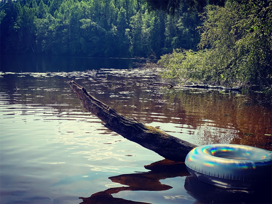Veckans sommarbilder » lokaltidningenvaxjo.se